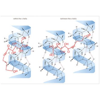 FIBERHANCE™ BM SOLUTION | Turkchem