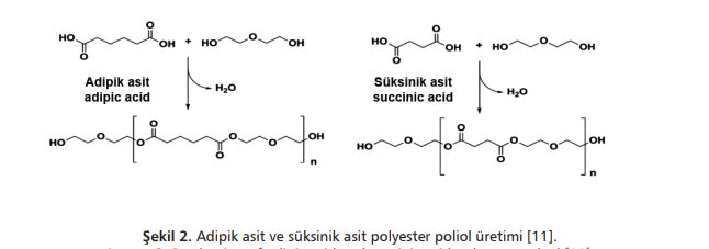 polyester poliol üretimi - Turkchem