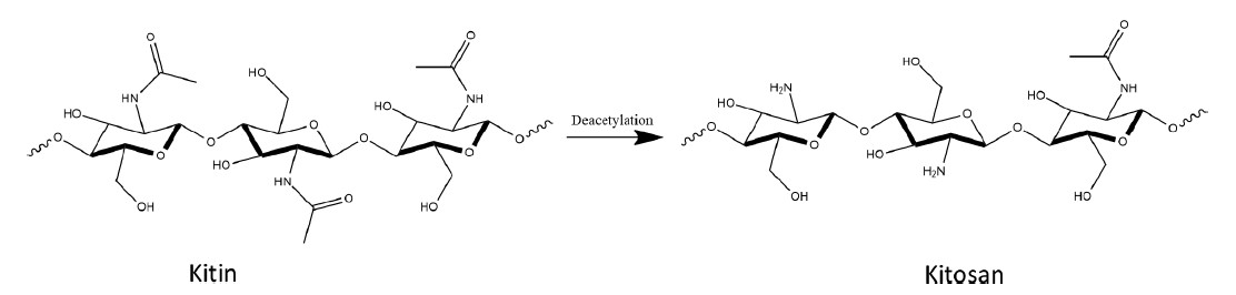 Kitosan Esaslı Antibakteriyel Poliüretan Malzemeler | Turkchem