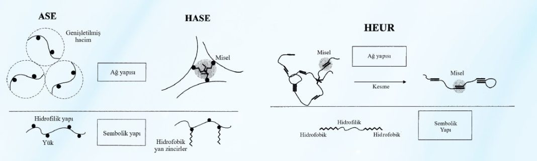 Different Types of Thickeners Used in Water-Based Paints | Turkchem